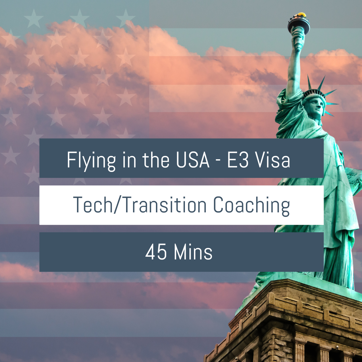 FLYING IN THE USA – 45MIN TECHNICAL or TRANSITION COACHING | Pinstripe ...